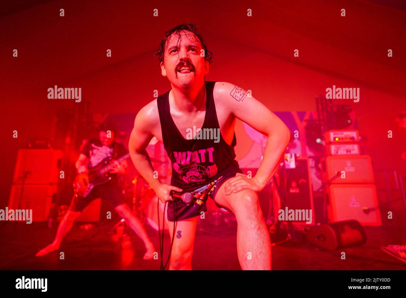 Dorset, UK. Thursday, 1 September, 2022. Matthew Baty of Pigs Pigs Pigs ...