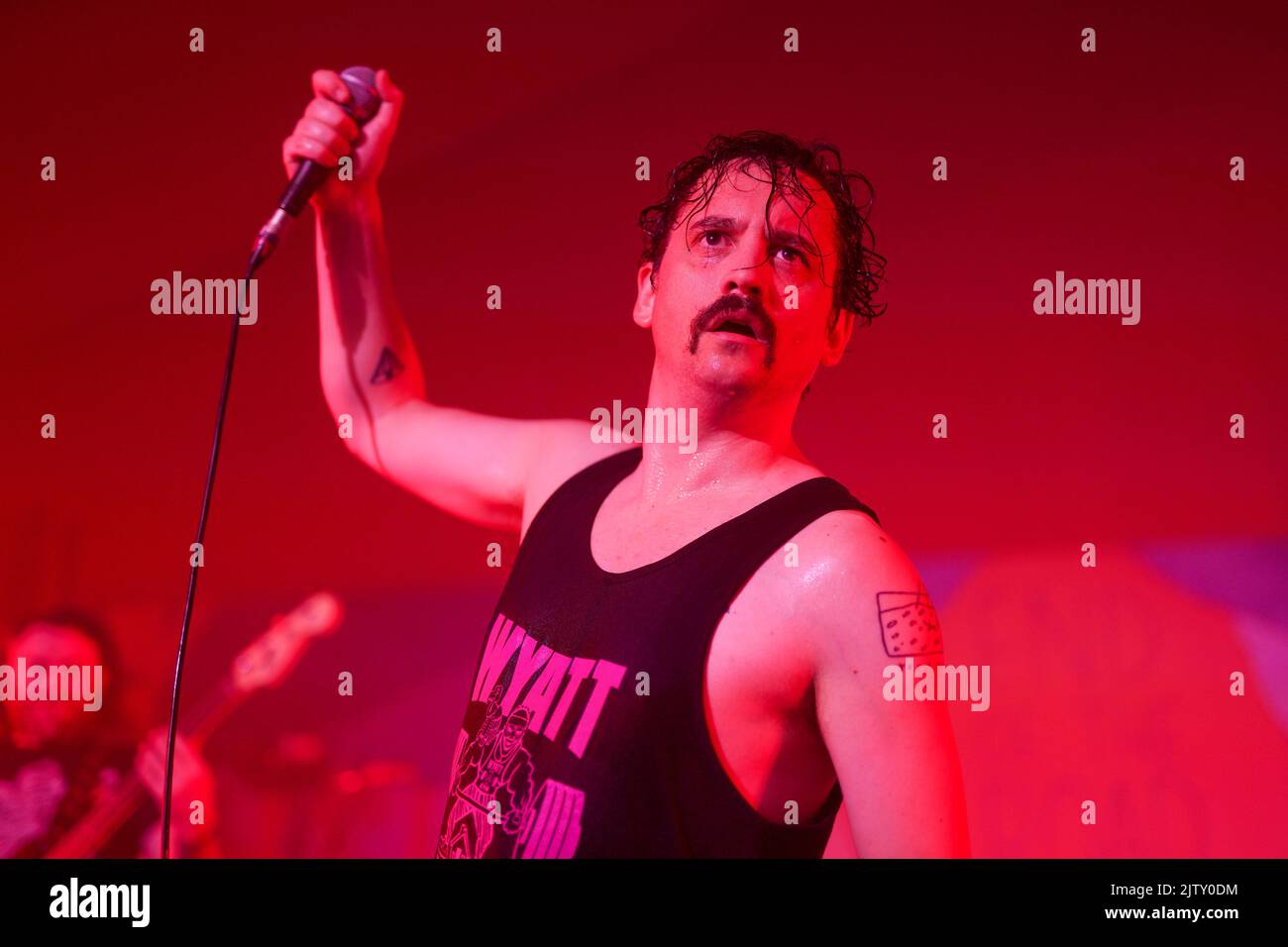 Dorset, UK. Thursday, 1 September, 2022. Matthew Baty of Pigs Pigs Pigs ...