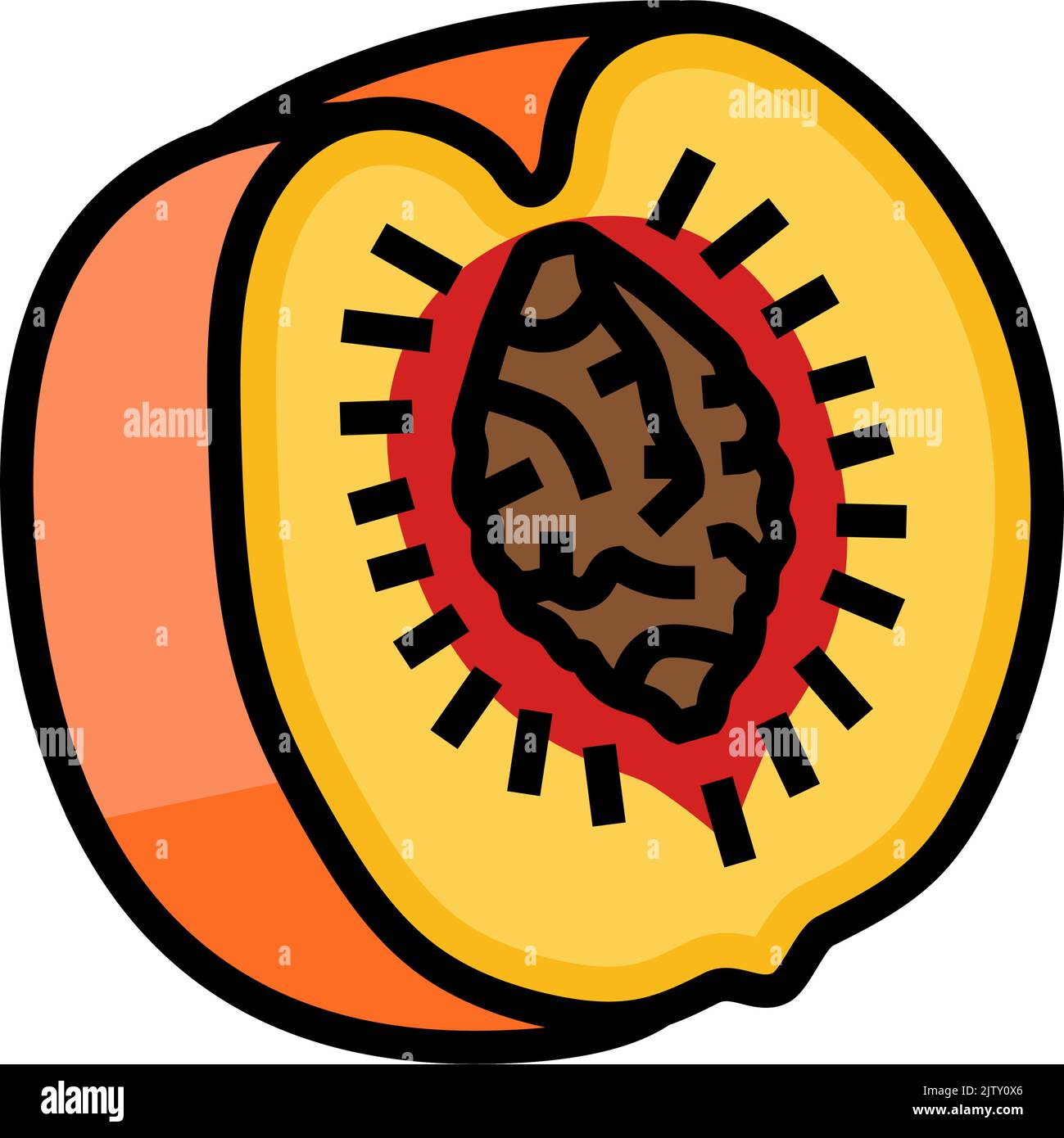 ripe peach cut pit color icon vector illustration Stock Vector Image ...