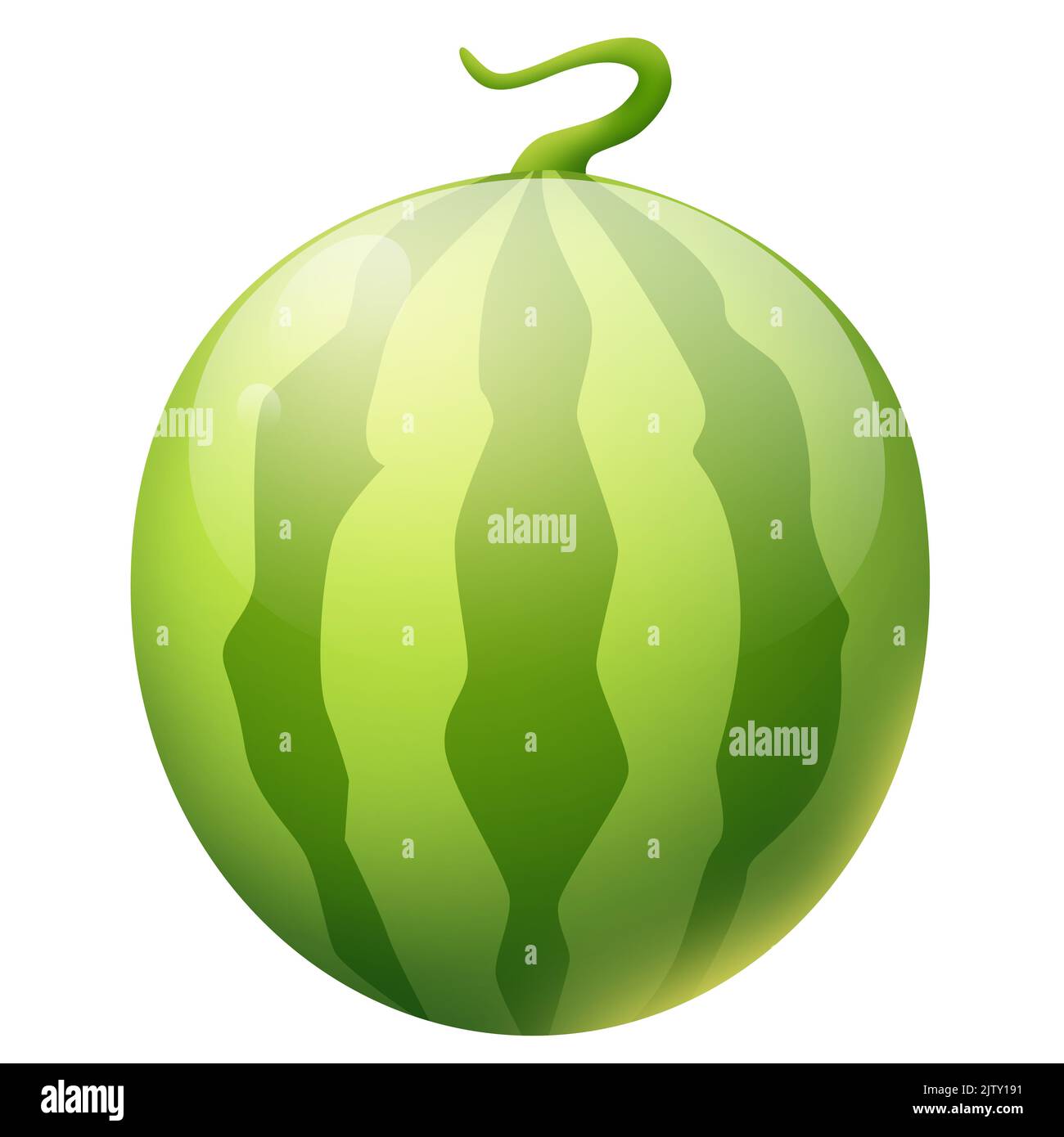 Bright green whole watermelon isolated on white background. Digital ...
