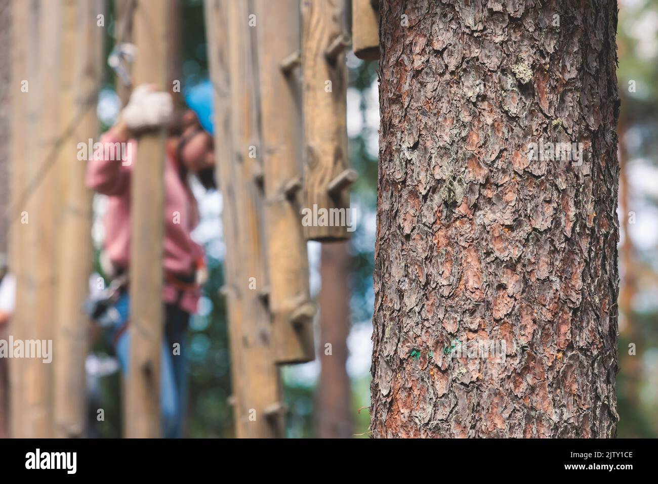 View of high ropes course, process of climbing in amusement acitivity ...