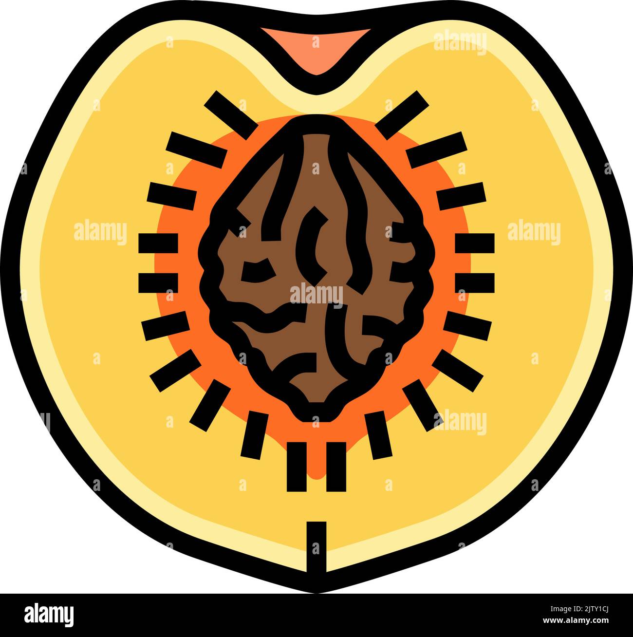 cut peach pit color icon vector illustration Stock Vector Image & Art ...