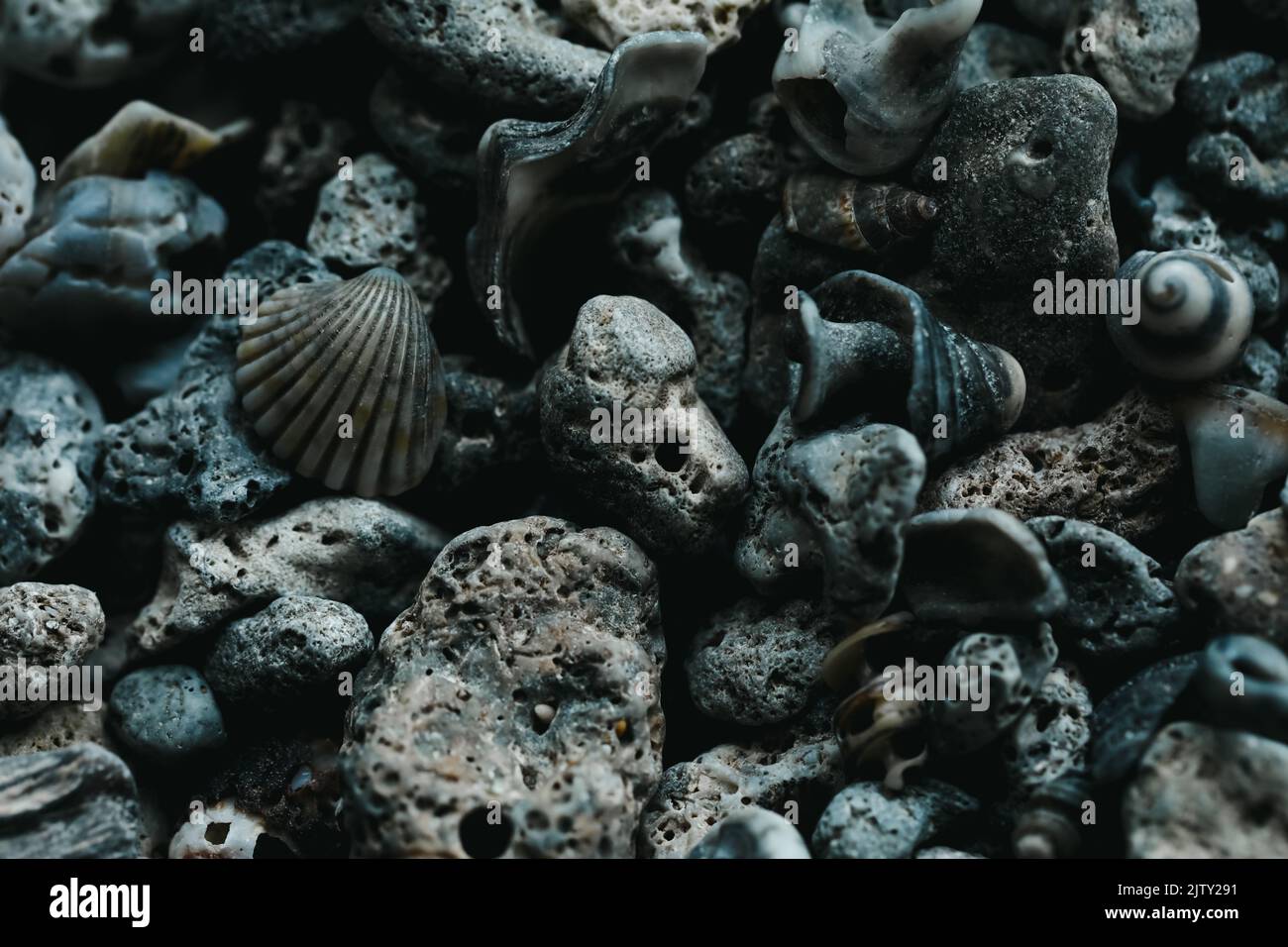 Beautiful black color sea stones and seashells abstract pattern texture ...