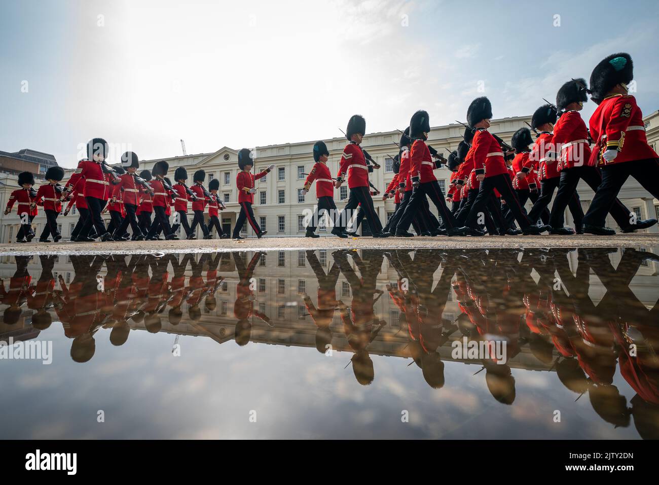 Number 12 company irish guards hi-res stock photography and images - Alamy