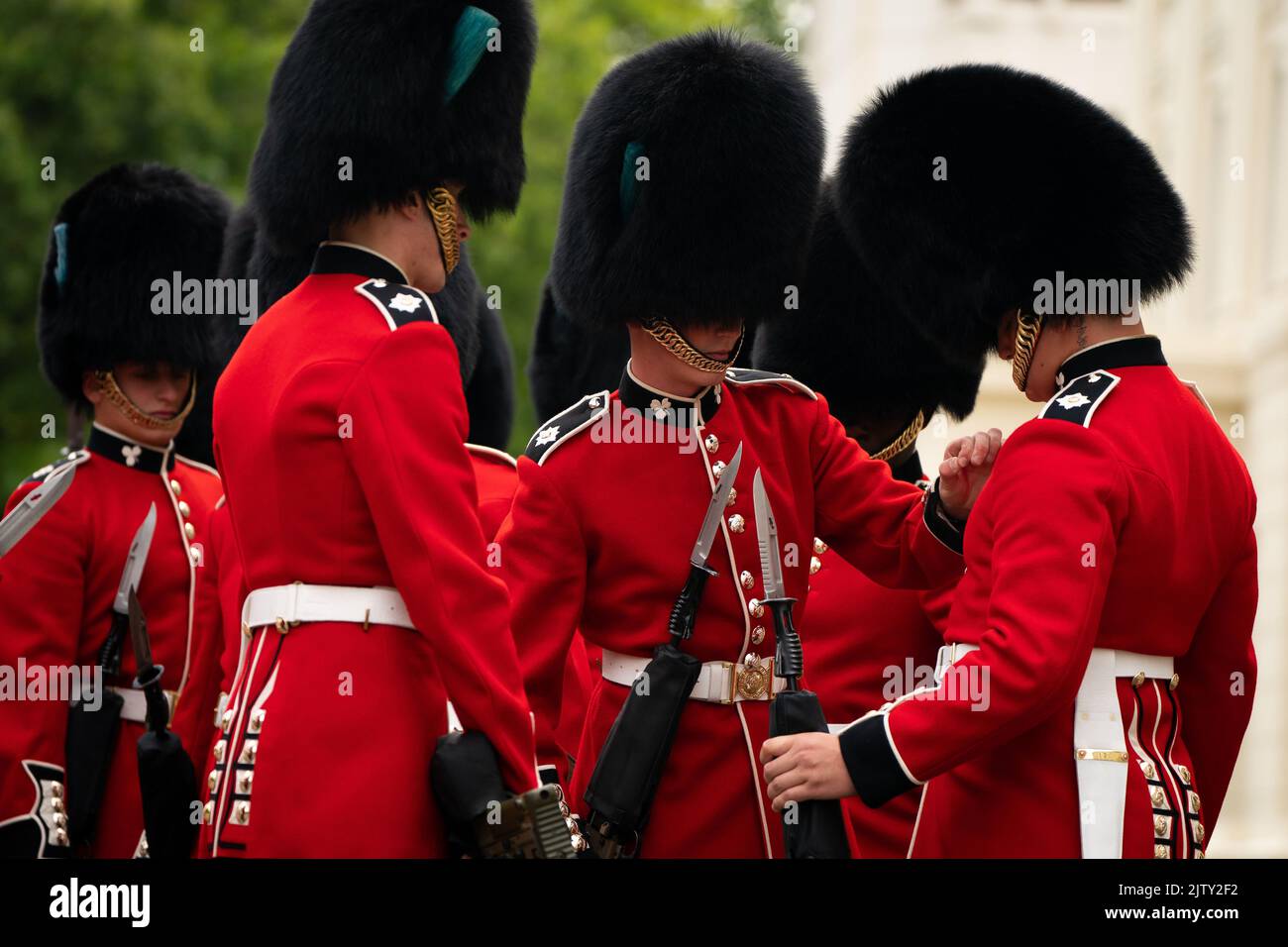 Number 12 Company Irish Guards at Wellington Barracks, central London ...