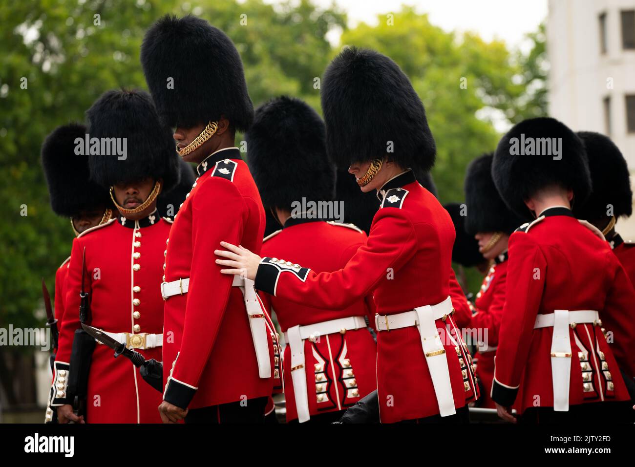 Number 12 company irish guards hi-res stock photography and images - Alamy
