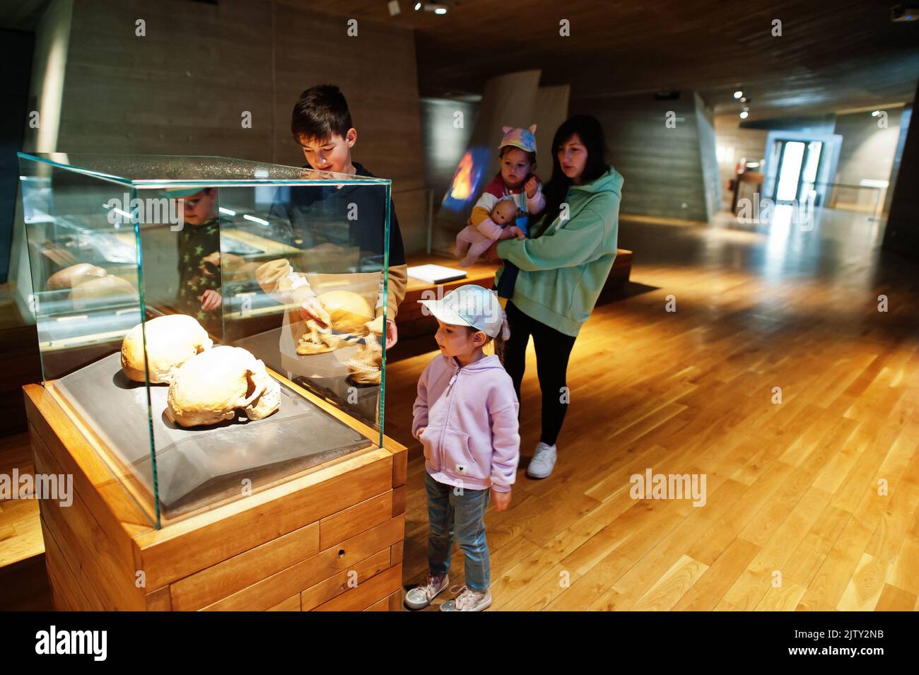 Mother with children exploring skulls humans evolution at museum Stock ...