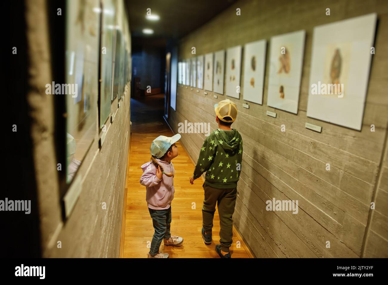 Children at an wildlife museum hi-res stock photography and images - Alamy