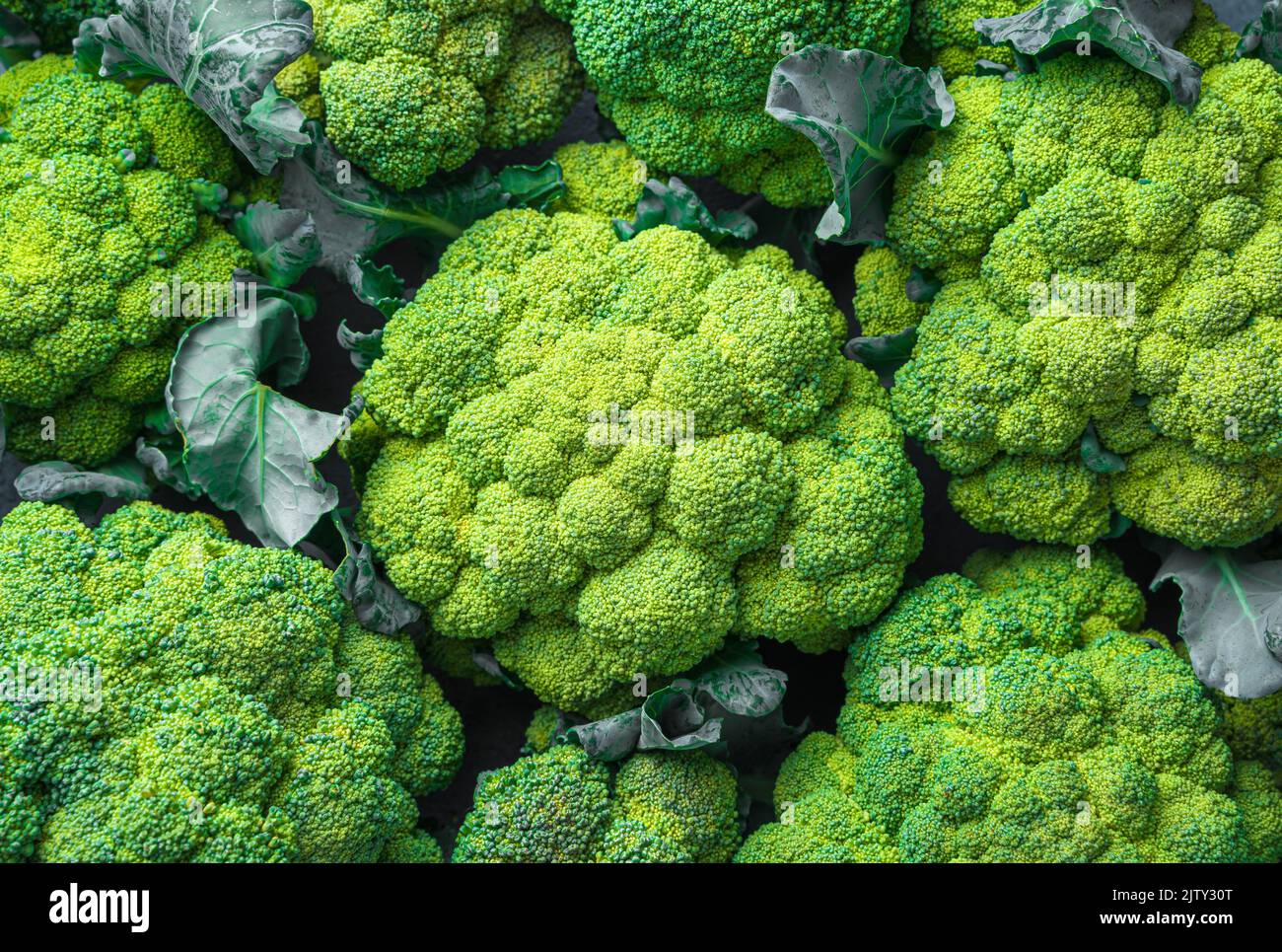 Fresh green broccoli close-up. Healthy, diet food Stock Photo - Alamy