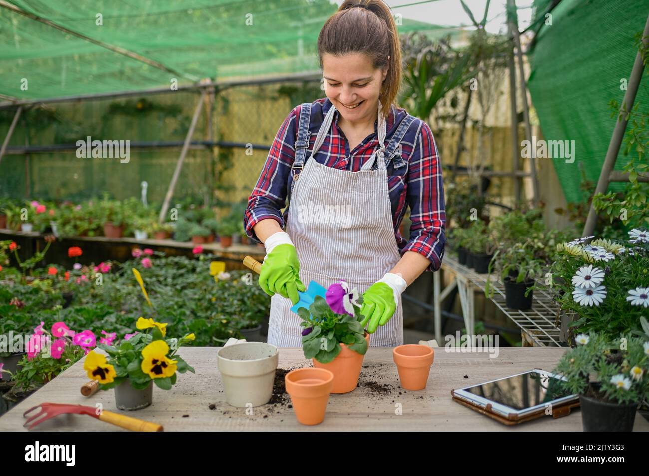Flower transplanting hi-res stock photography and images - Alamy