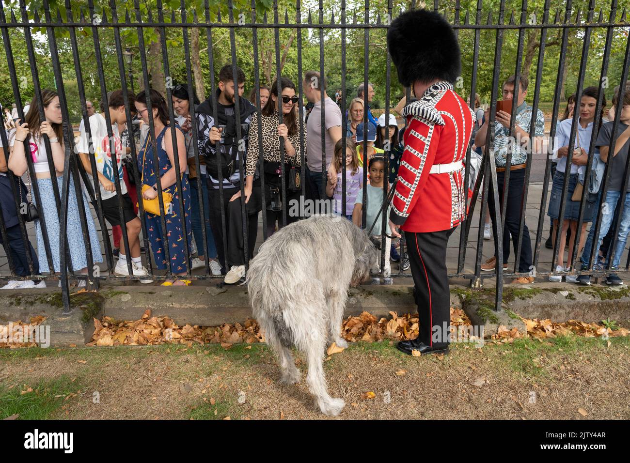 Wellington Barracks, London, UK. 2nd Sep, 2022. As part of the Army's ...