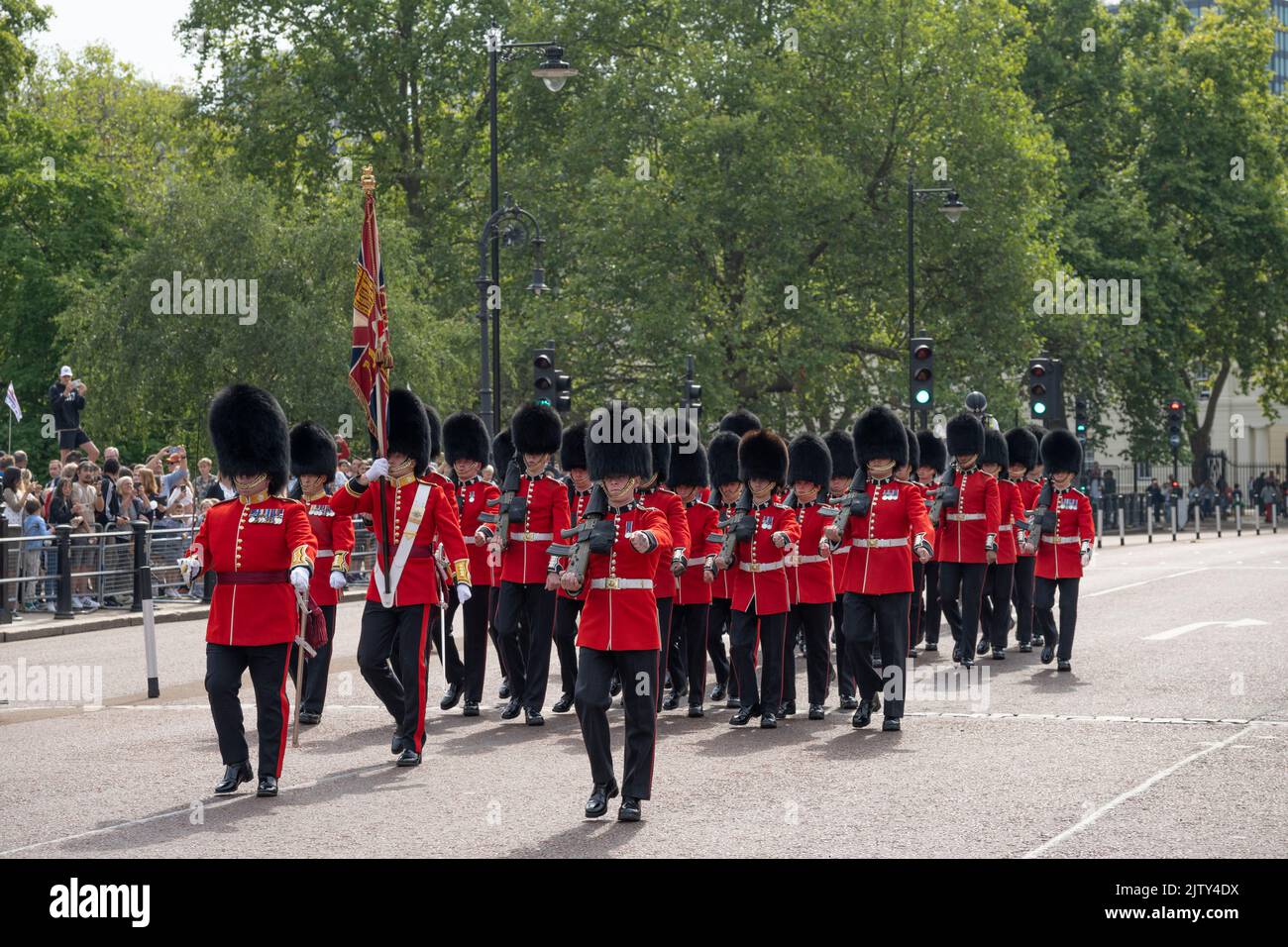 Number 12 company irish guards hi-res stock photography and images - Alamy