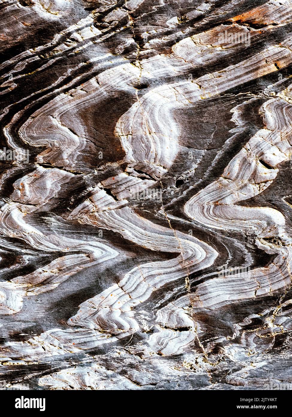 Stunning patterns formed in the rocks around Cornwallis coastline ...