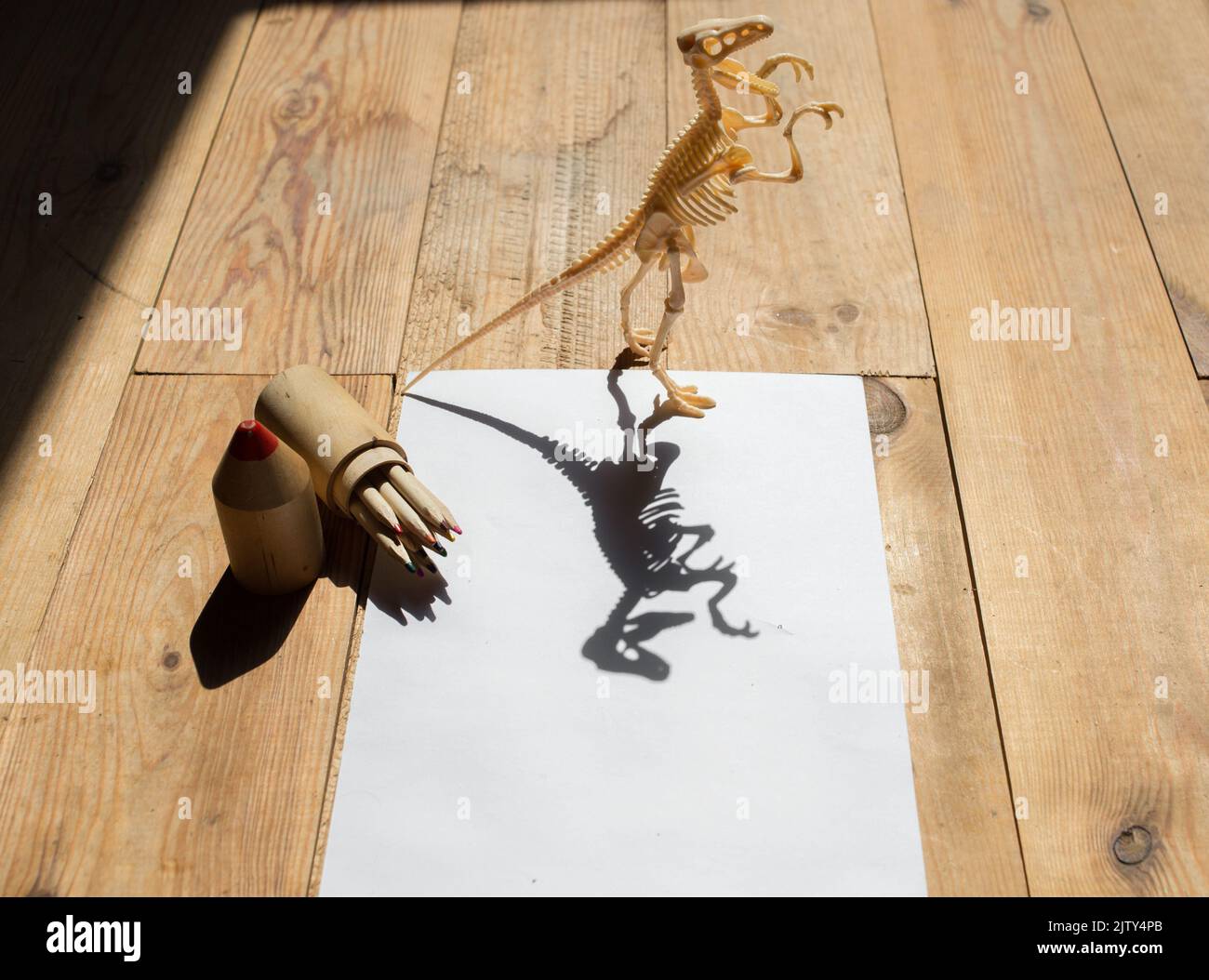 contrasting shadow from skeleton of a toy dinosaur on white paper ...