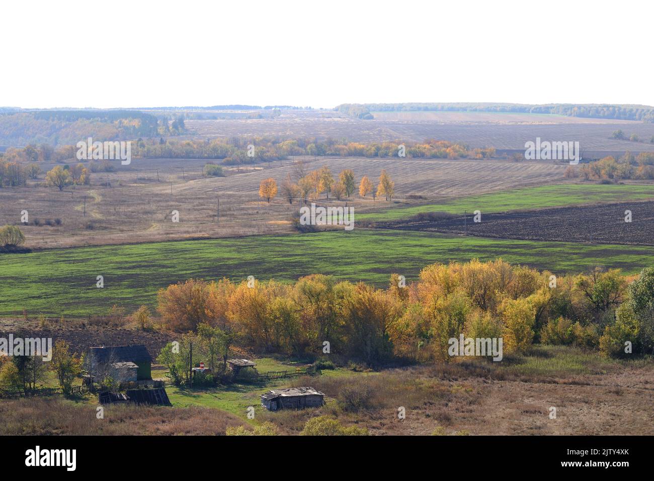 Beautiful green fields in russia hi-res stock photography and images ...