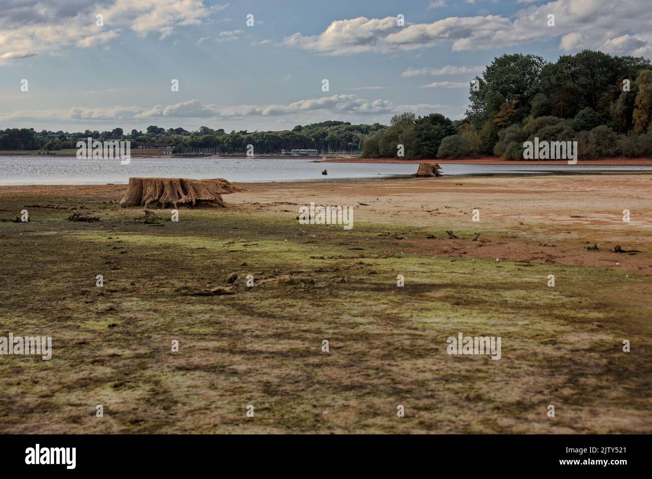 Chew Valley drought 2022 heatwave Stock Photo - Alamy