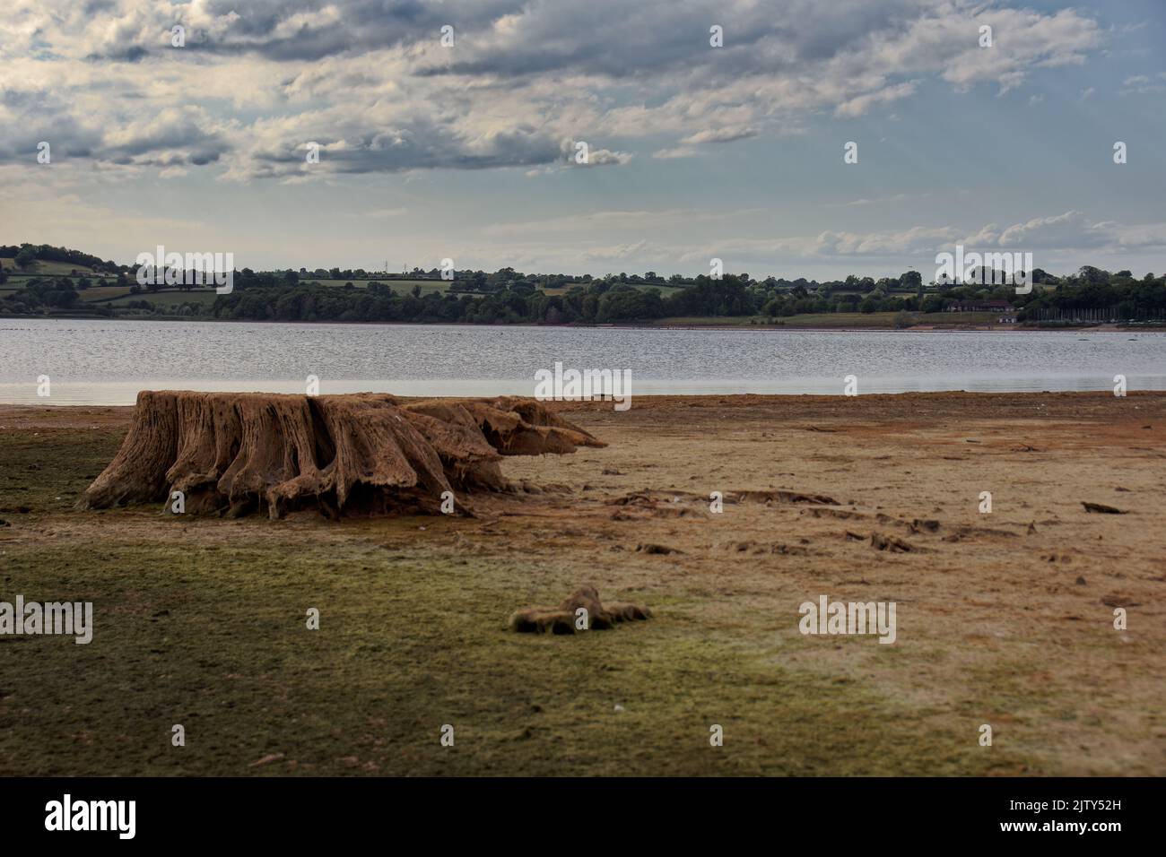 Chew Valley drought 2022 heatwave Stock Photo - Alamy
