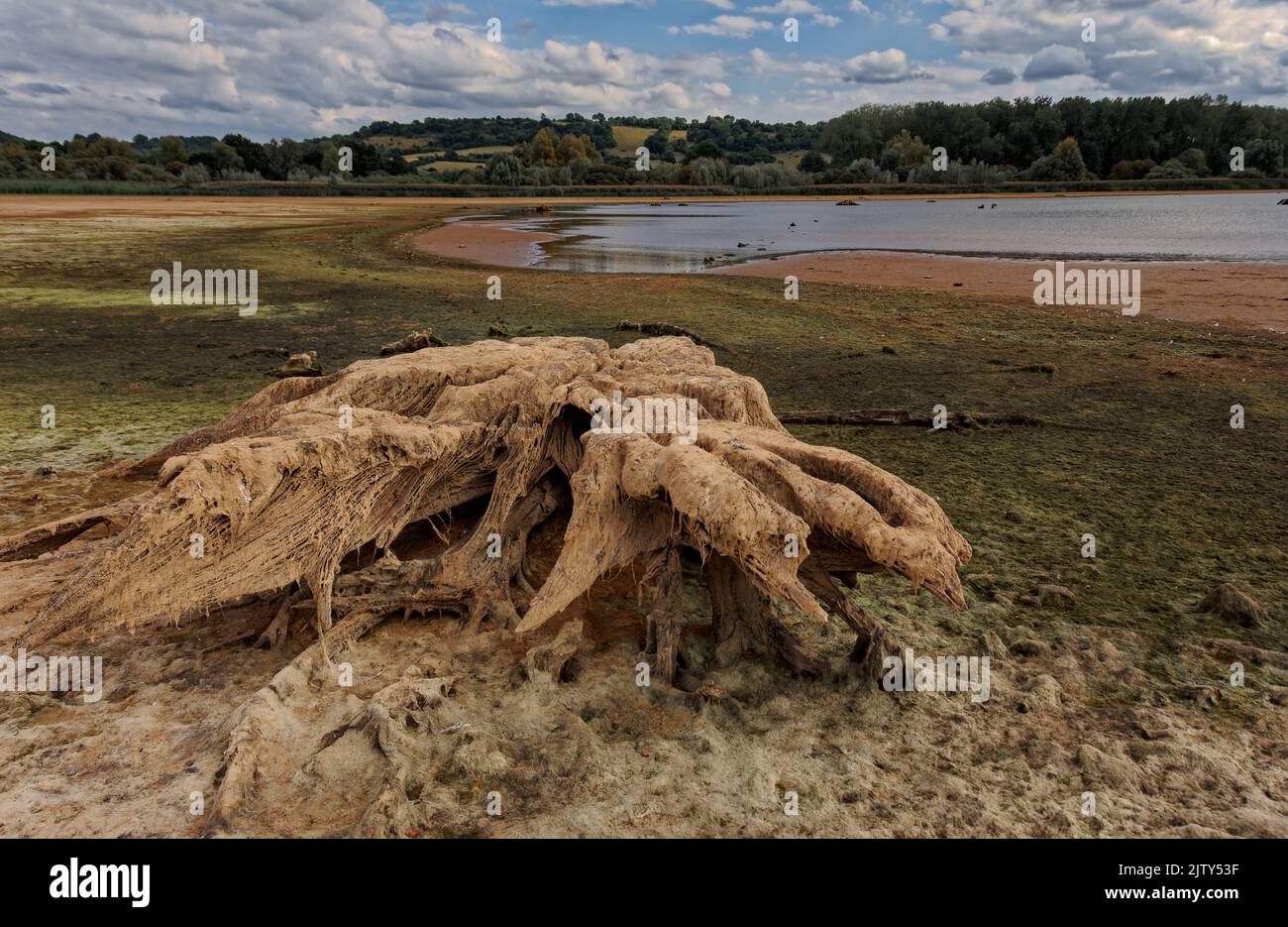 Chew Valley drought 2022 heatwave Stock Photo - Alamy