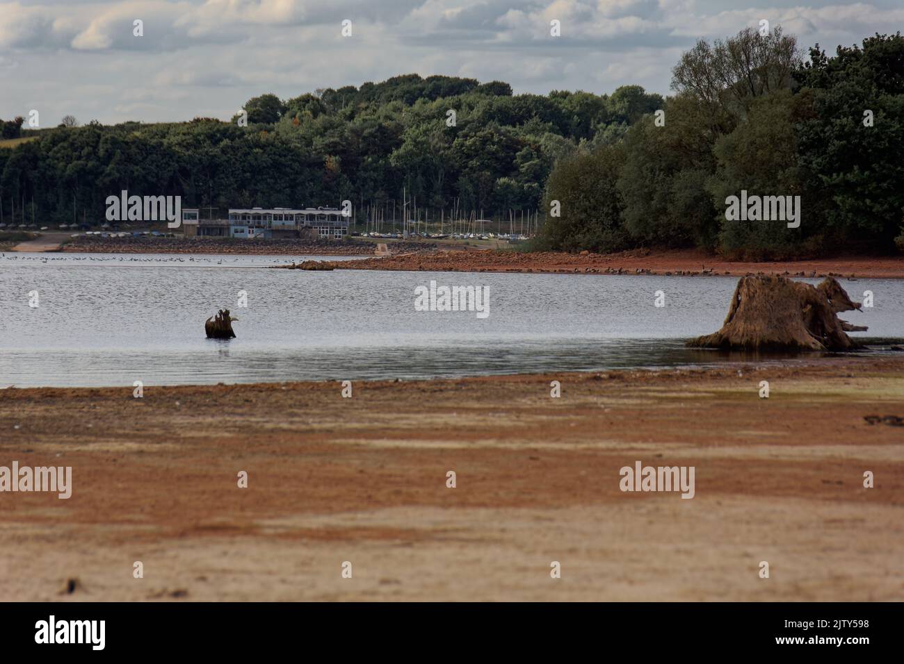 Chew Valley drought 2022 heatwave Stock Photo - Alamy