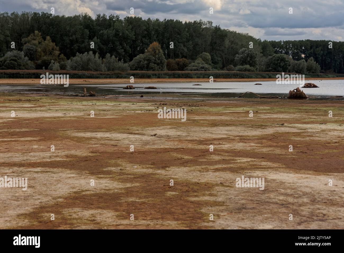 Chew Valley drought 2022 heatwave Stock Photo - Alamy