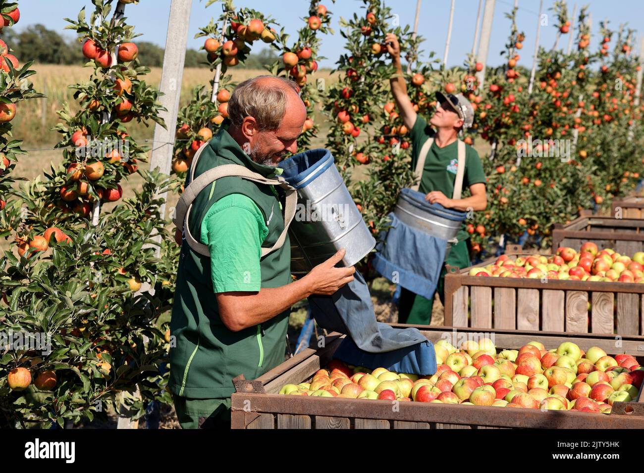 Peter haberkorn hi-res stock photography and images - Alamy