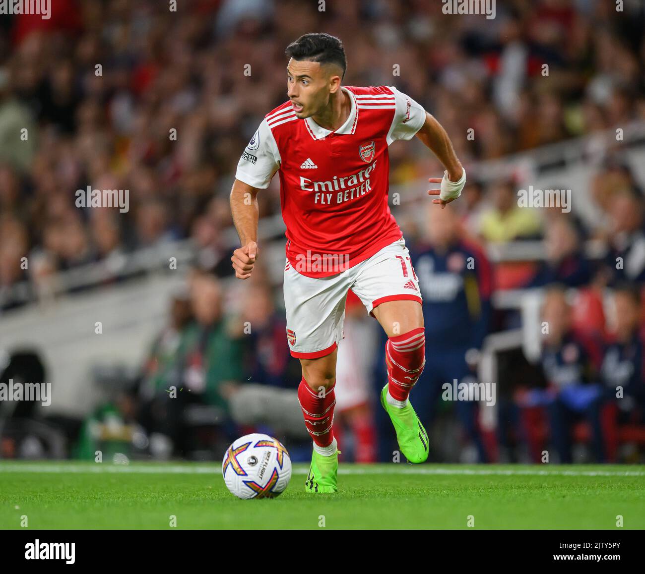 Matrinelli hi-res stock photography and images - Alamy