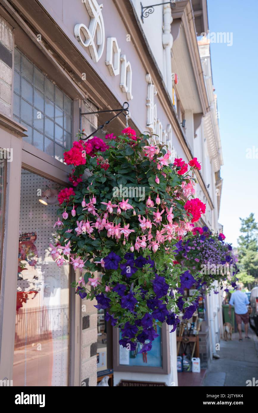 Chagford Dartmoor Devon colourful flowers in summer England UK near ...