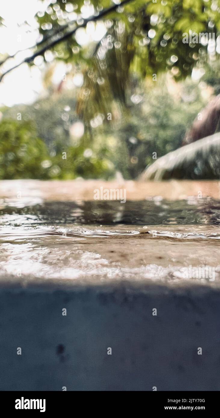 A vertical closeup of the water surface against the blurry background ...