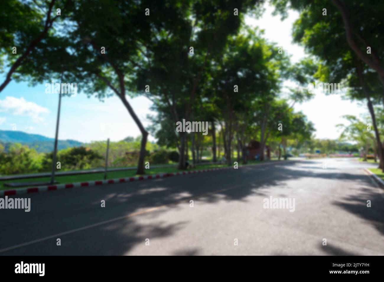 Empty street at the nice and comfortable great garden under lovely blue ...