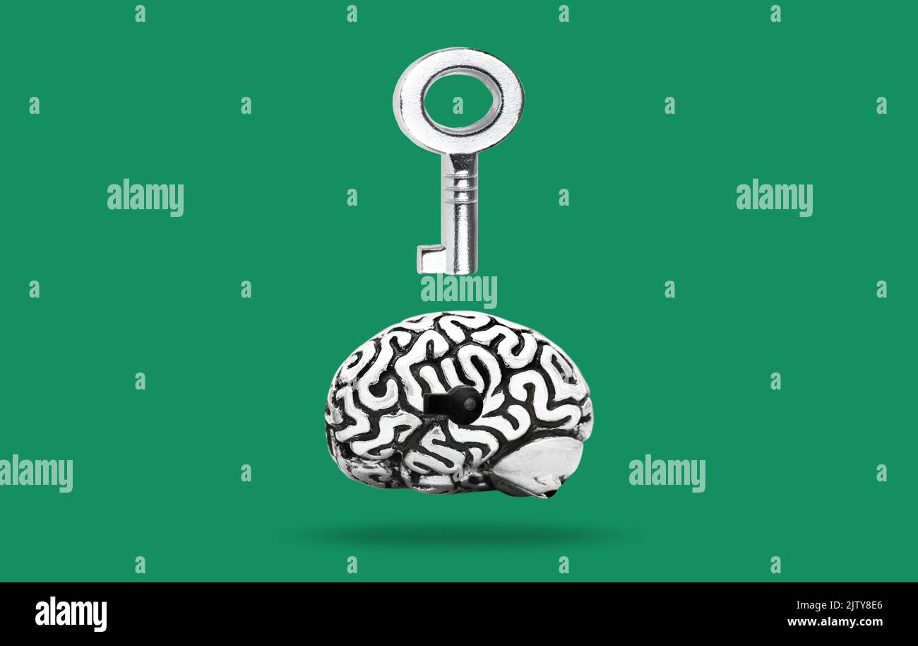 Silver-toned master key floating over an anatomical human brain copy ...