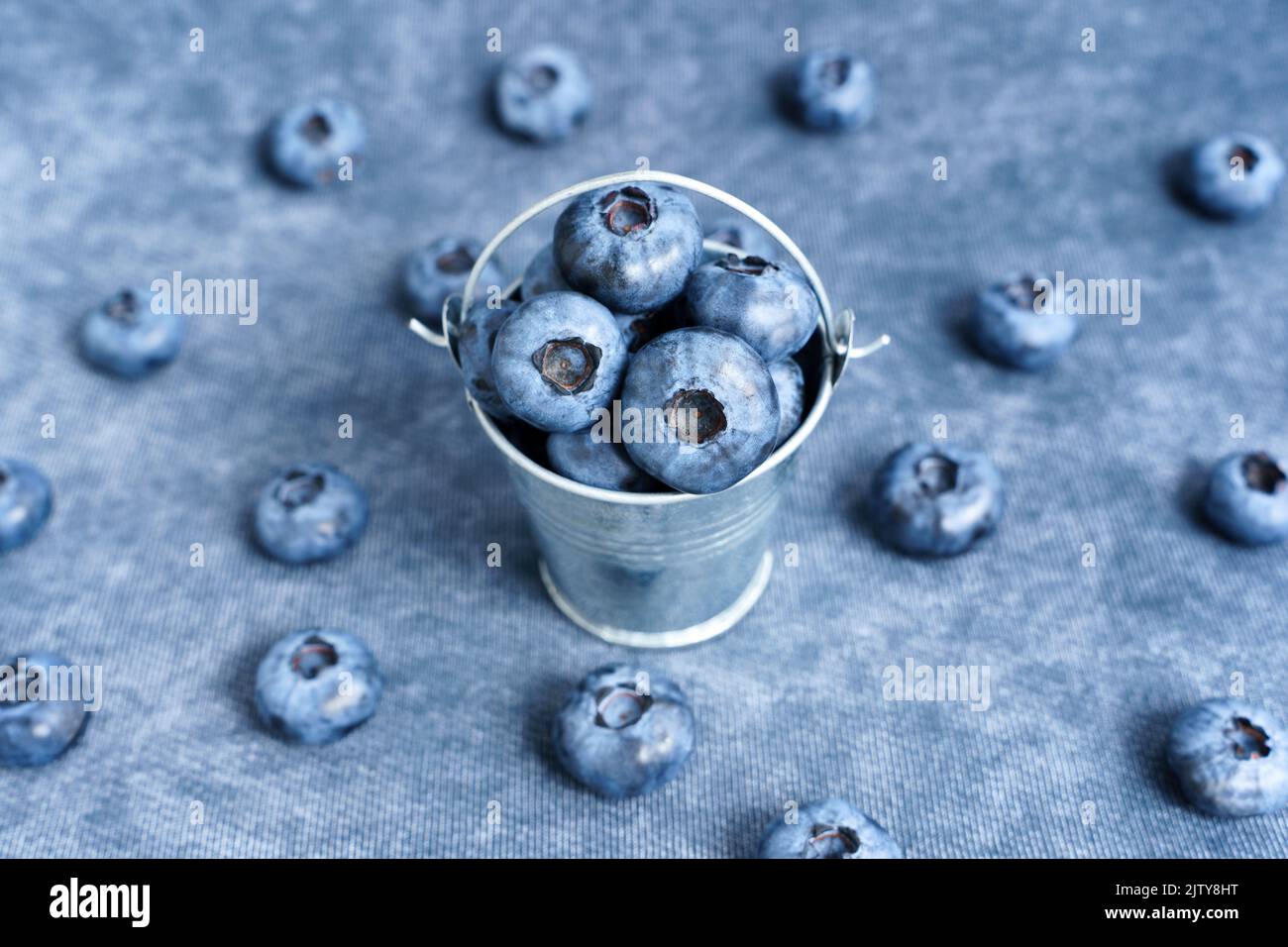Miniature bucket of freshly picked blueberries on a matching textile ...