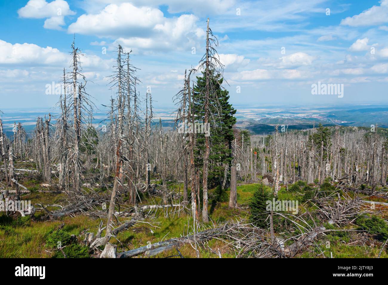 Harz National Park is a nature reserve in the German federal states of ...