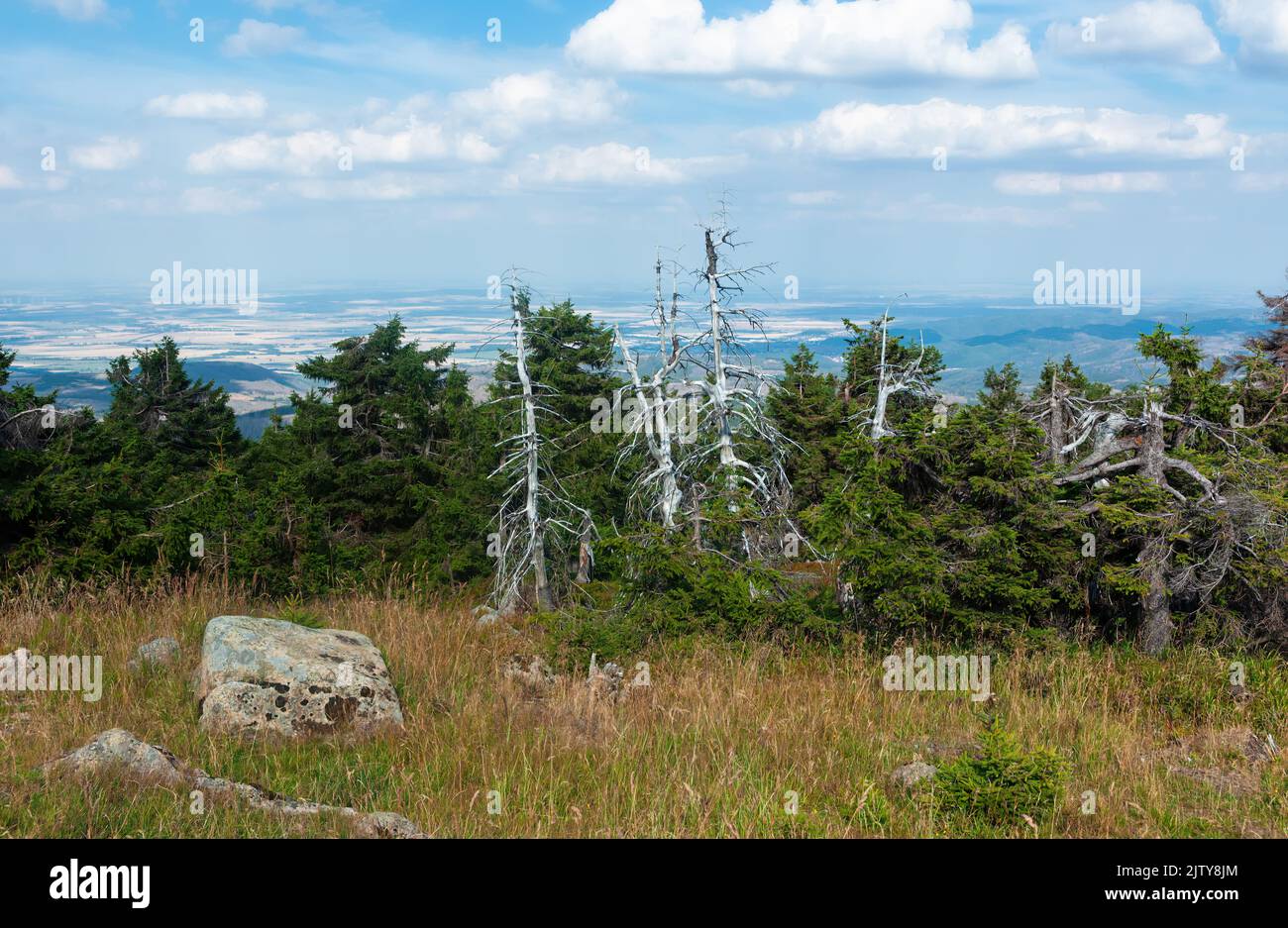 Harz National Park is a nature reserve in the German federal states of ...