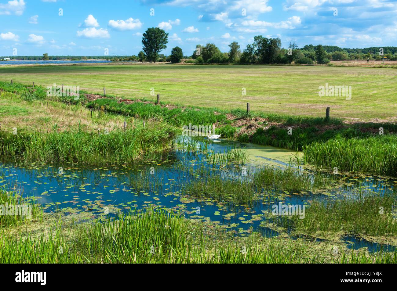 Confluence of two water channels in Calvorde, Sachsen-Anhalt, Germany ...