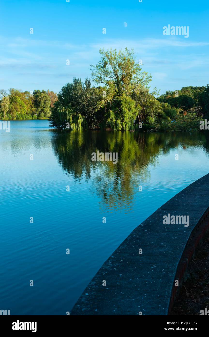 A view of the castle pond with trees and greenery in Flechtingen ...