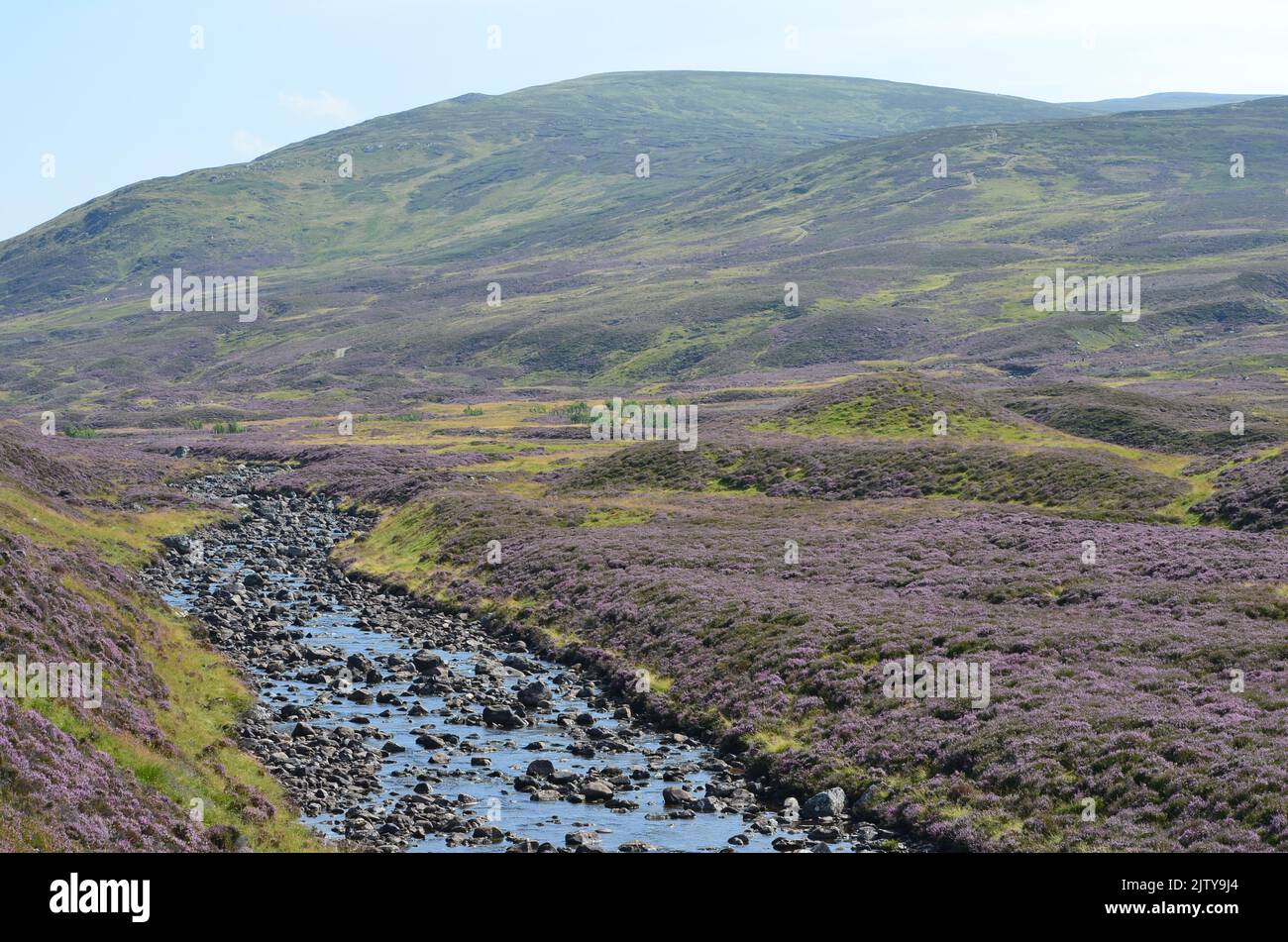 Upper Glen Callater, a Site of Special Scientific Interest within The ...