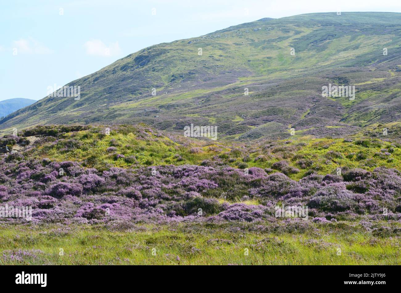 Loch callater walk hi-res stock photography and images - Alamy