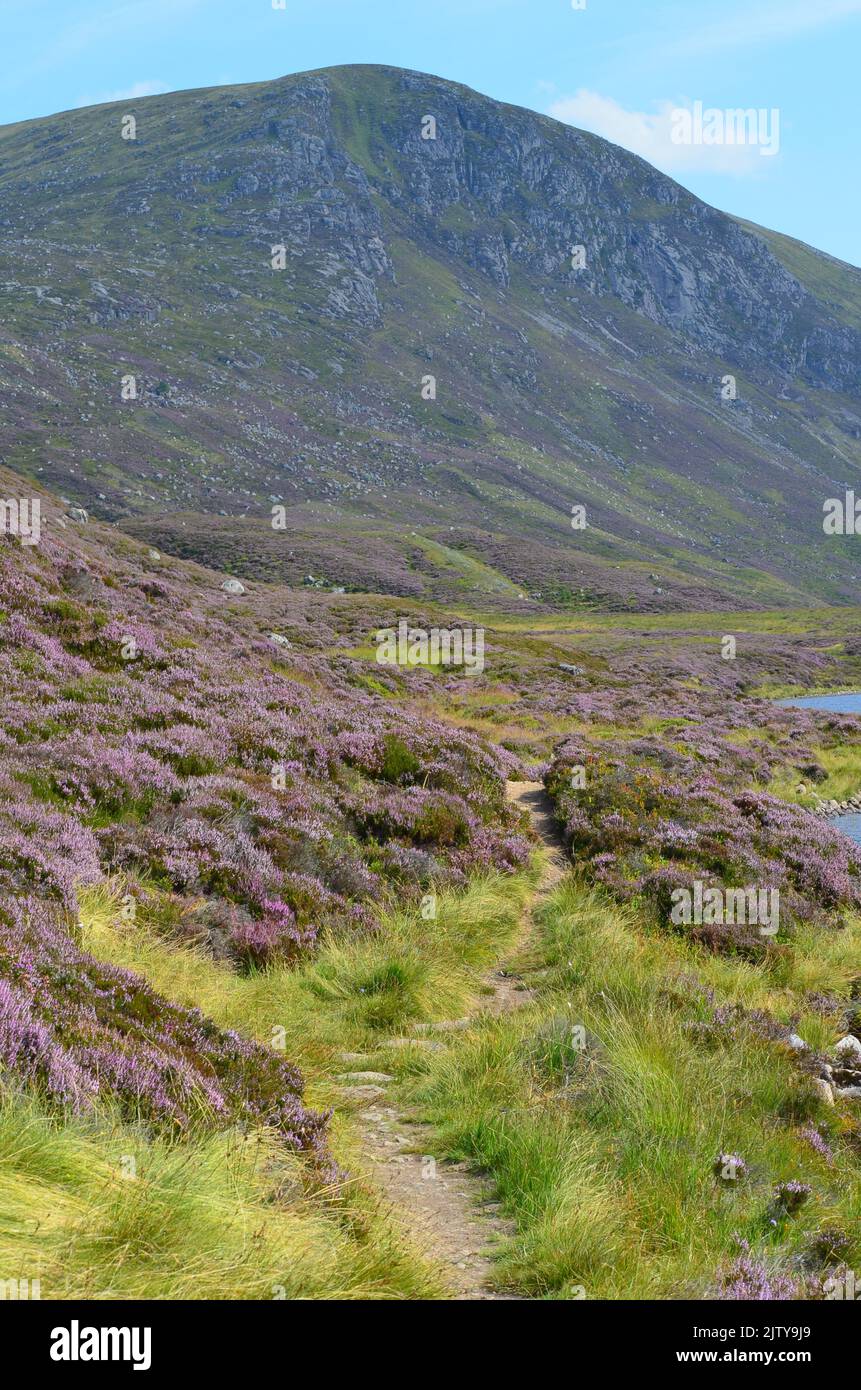Upper Glen Callater, a Site of Special Scientific Interest within The ...