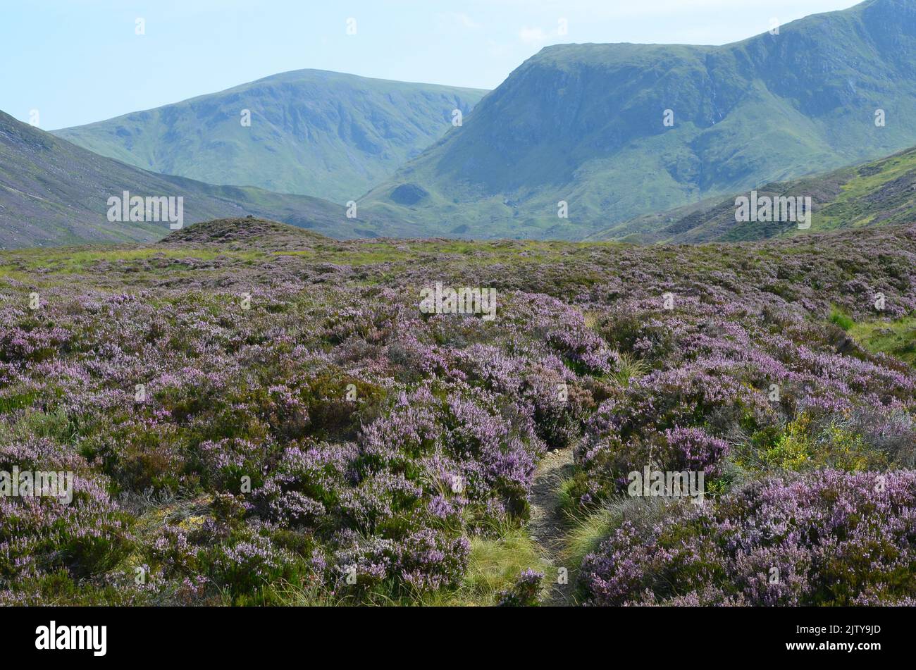 Upper Glen Callater, a Site of Special Scientific Interest within The ...