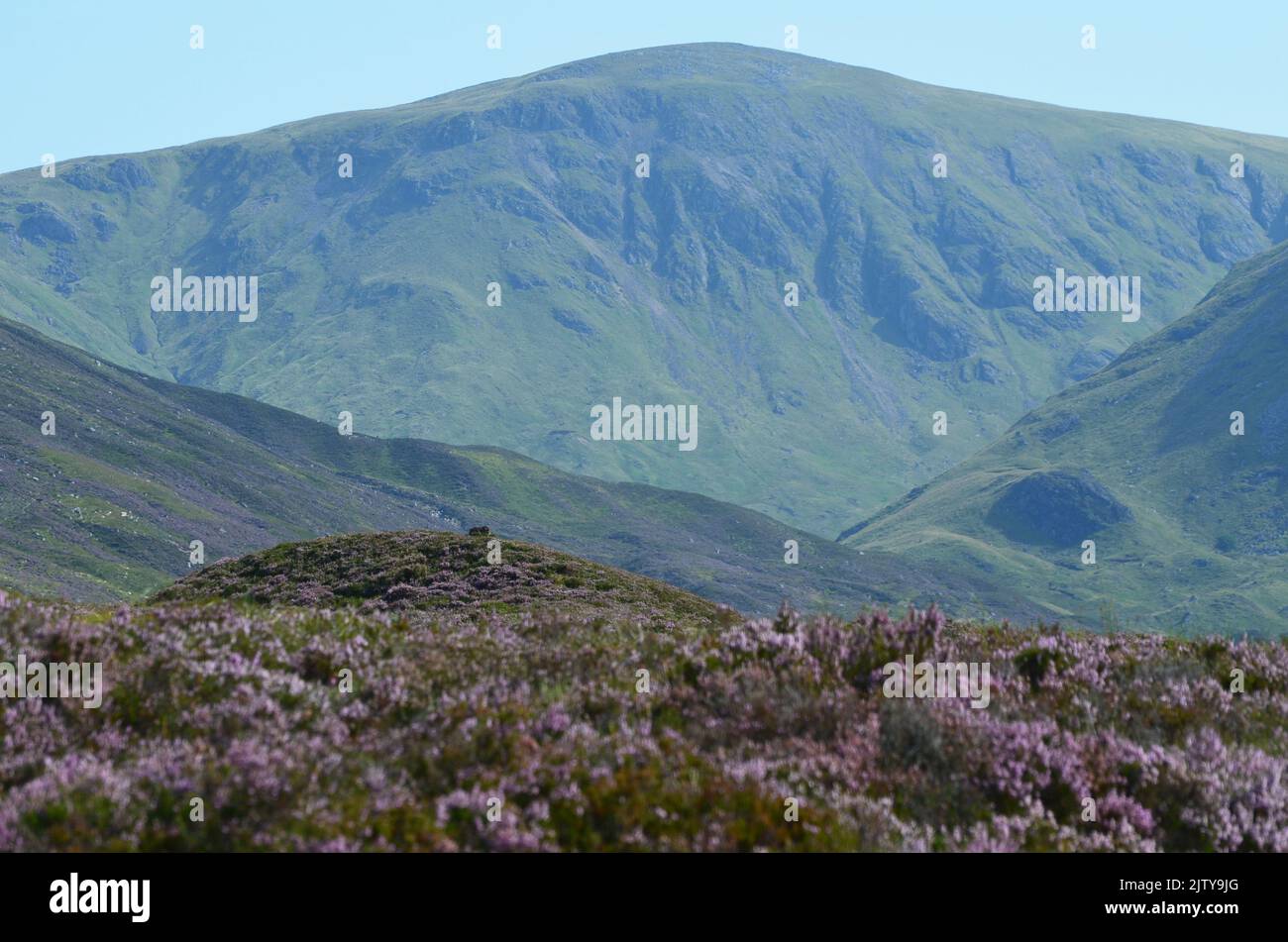 Loch callater walk hi-res stock photography and images - Alamy
