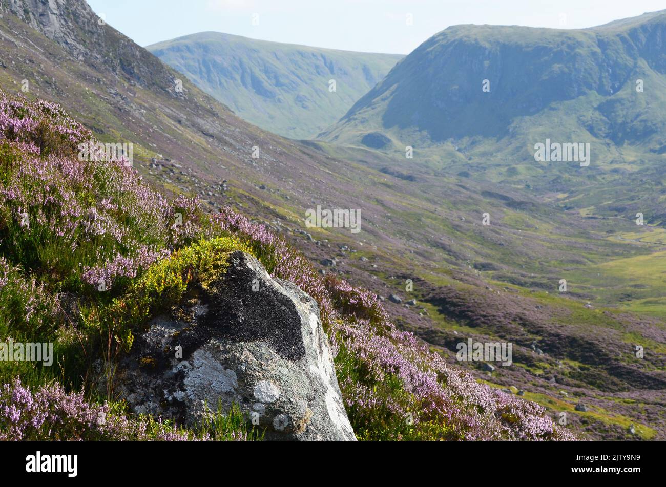 Upper Glen Callater, a Site of Special Scientific Interest within The ...
