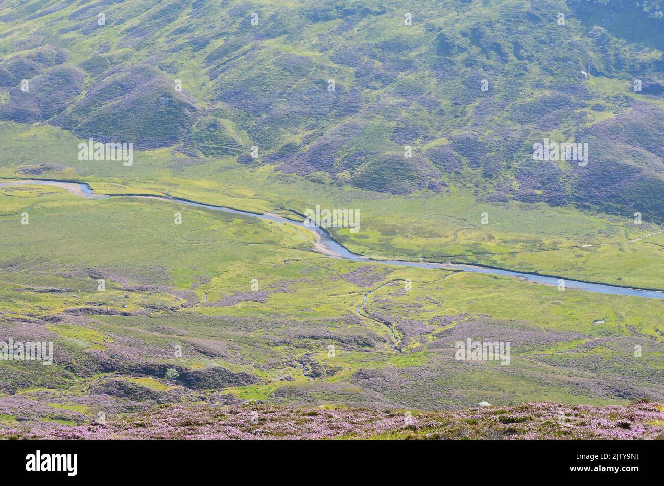Loch callater walk hi-res stock photography and images - Alamy