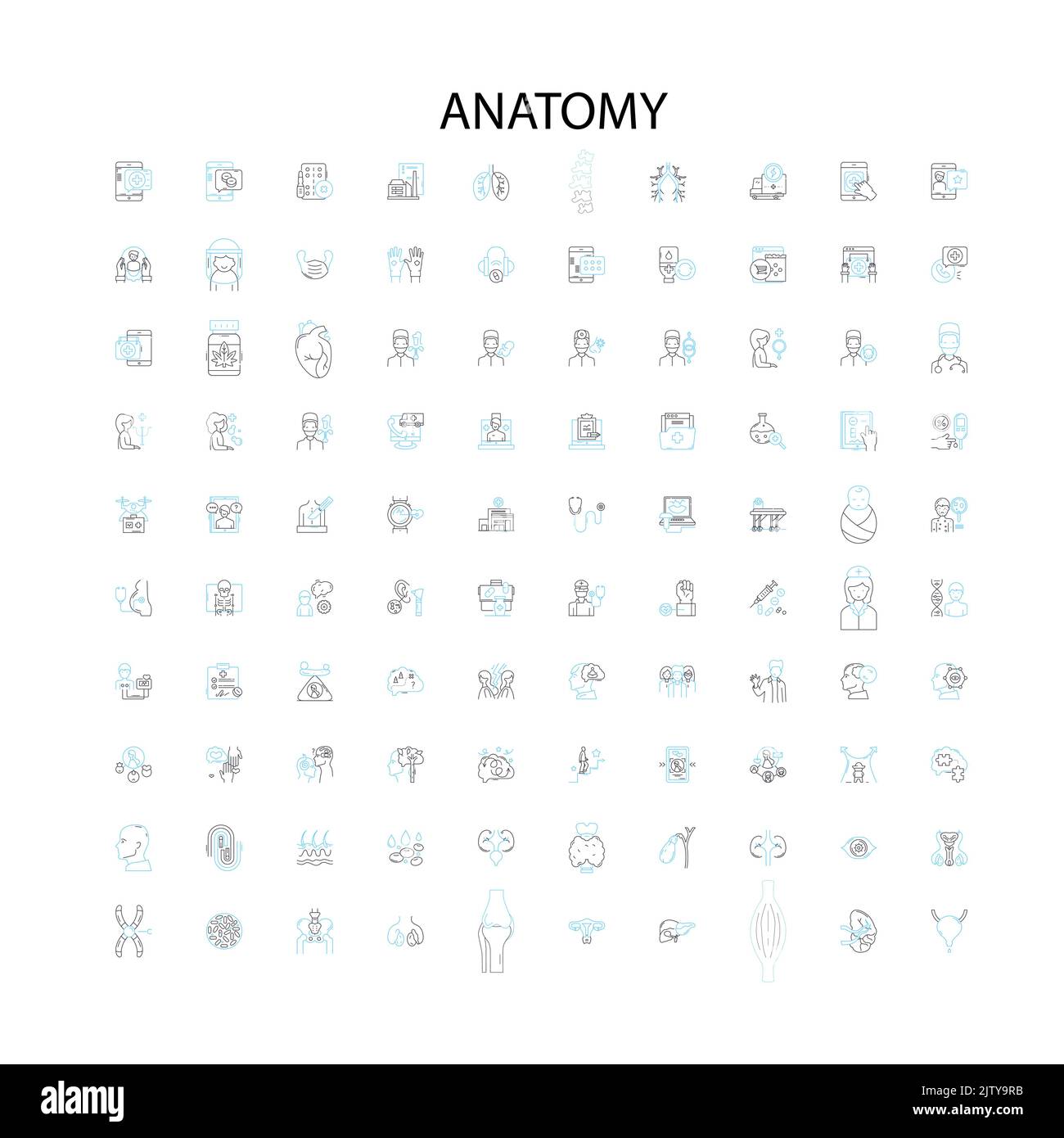 anatomy concept icons, signs, outline symbols, concept linear ...