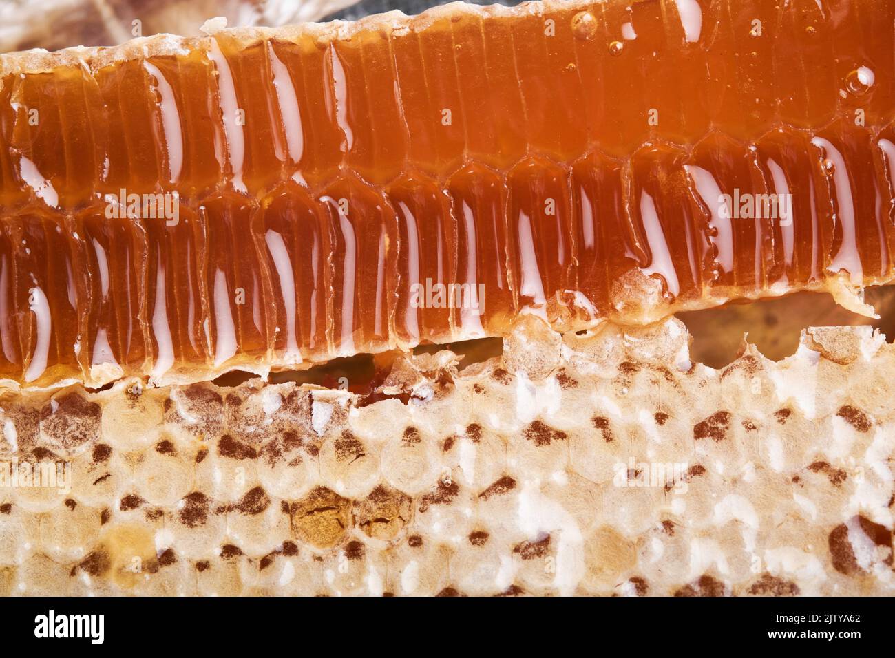 Honeycombs. Rosh Hashanah. Honeycomb in in a rustic plate. Bizarre ...