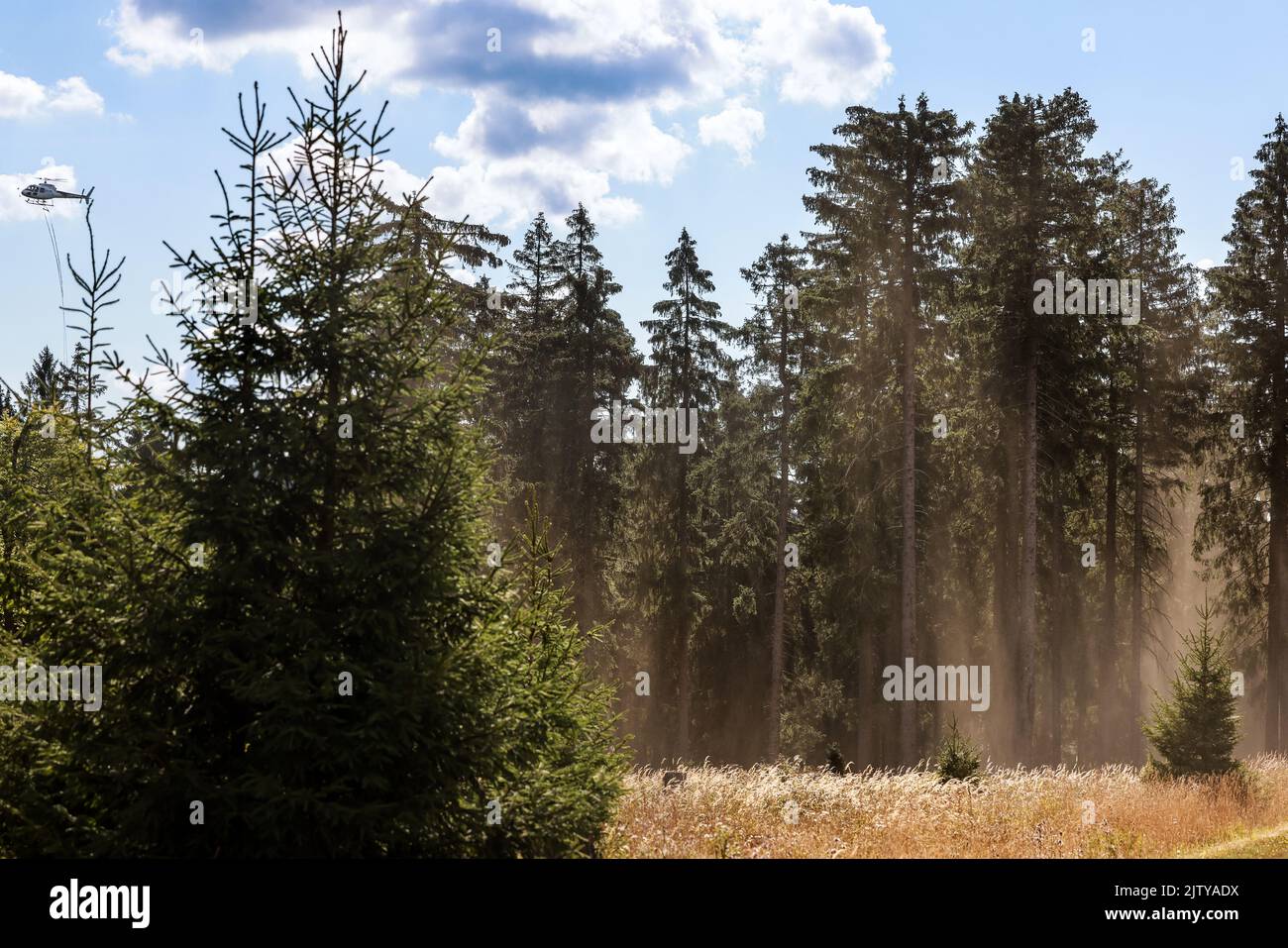 Gehlberg, Germany. 02nd Sep, 2022. A helicopter is used to spread earth ...