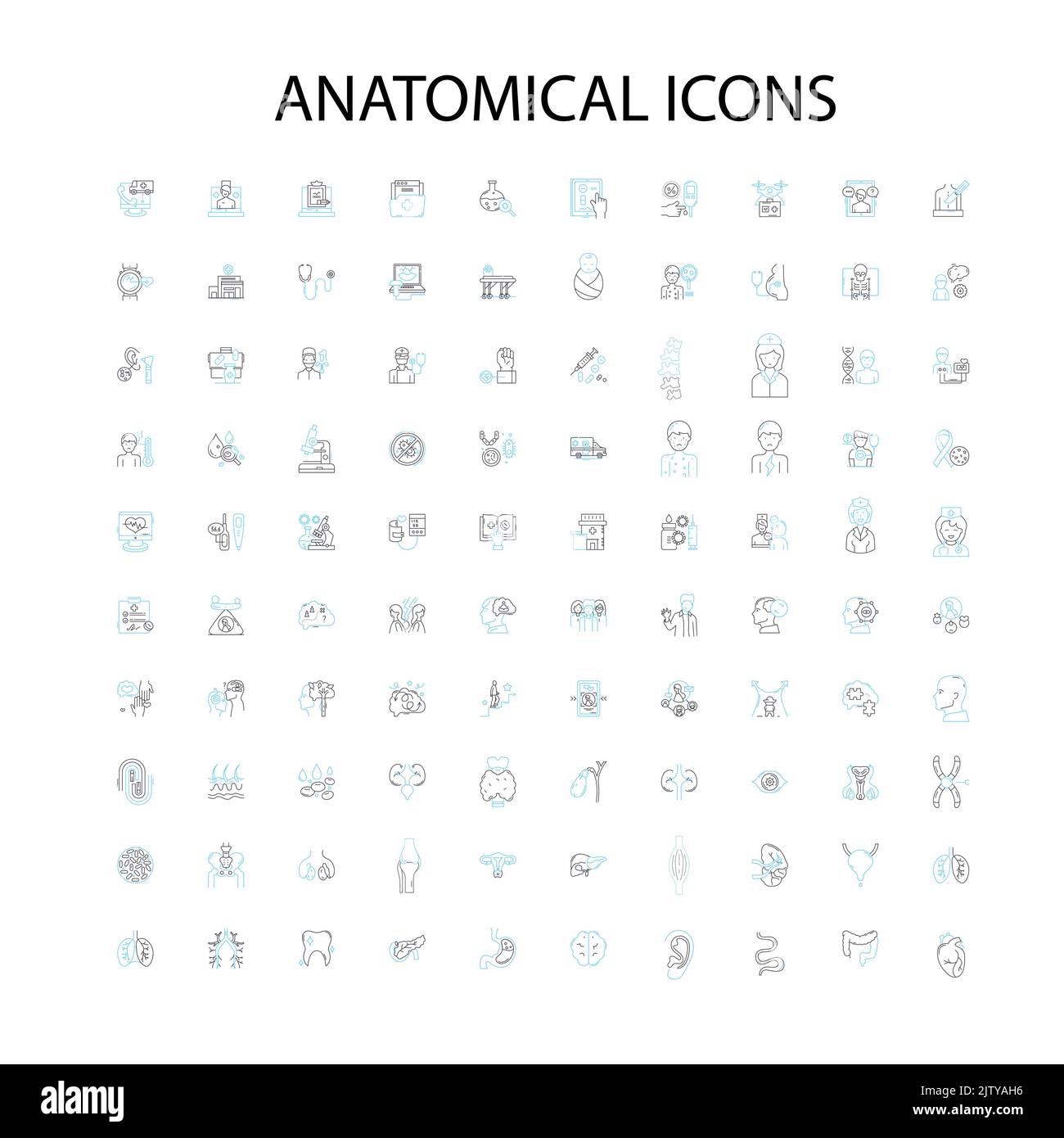 anatomical icons, signs, outline symbols, concept linear illustration ...