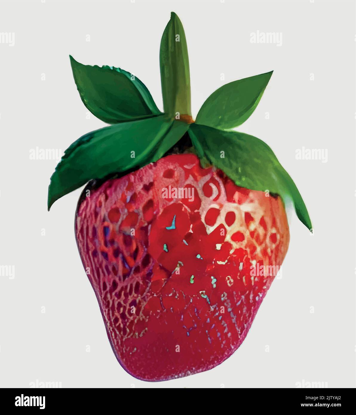 A closeup of a strawberry vector illustration isolated on a white ...