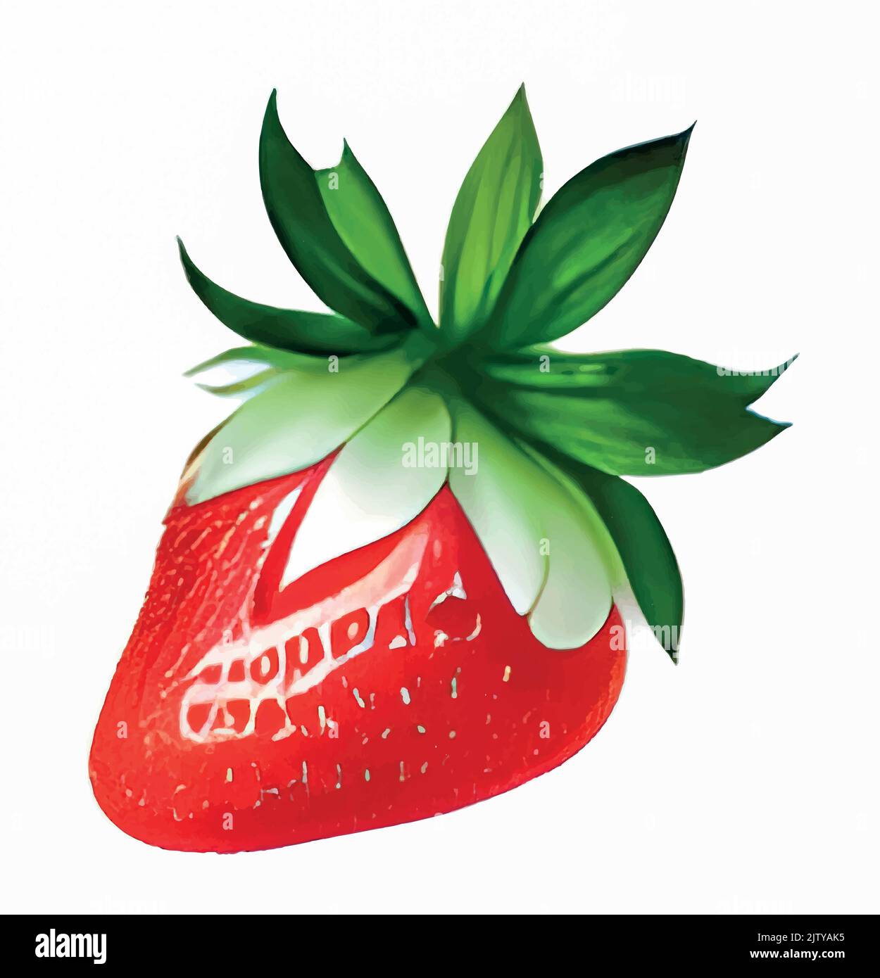 A closeup of a strawberry vector illustration isolated on a white ...