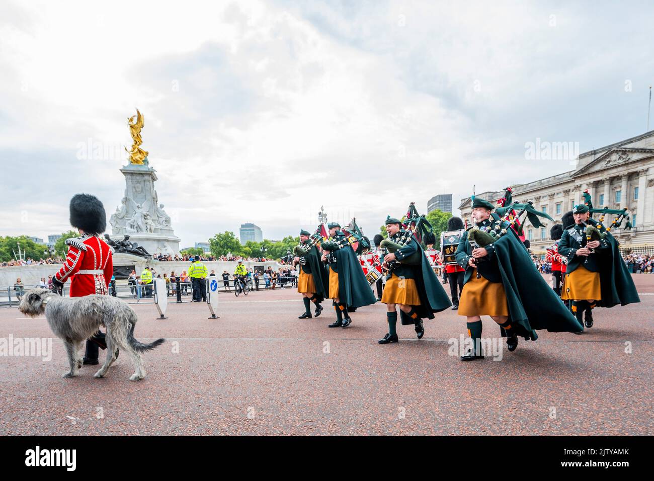 London, UK. 2nd Sep, 2022. Regimental Mascot, Irish Wolfhound Turlough ...