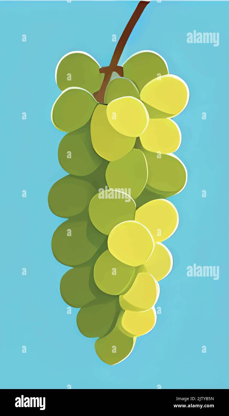 A vine of green grapes, a vertical vector illustration Stock Vector ...
